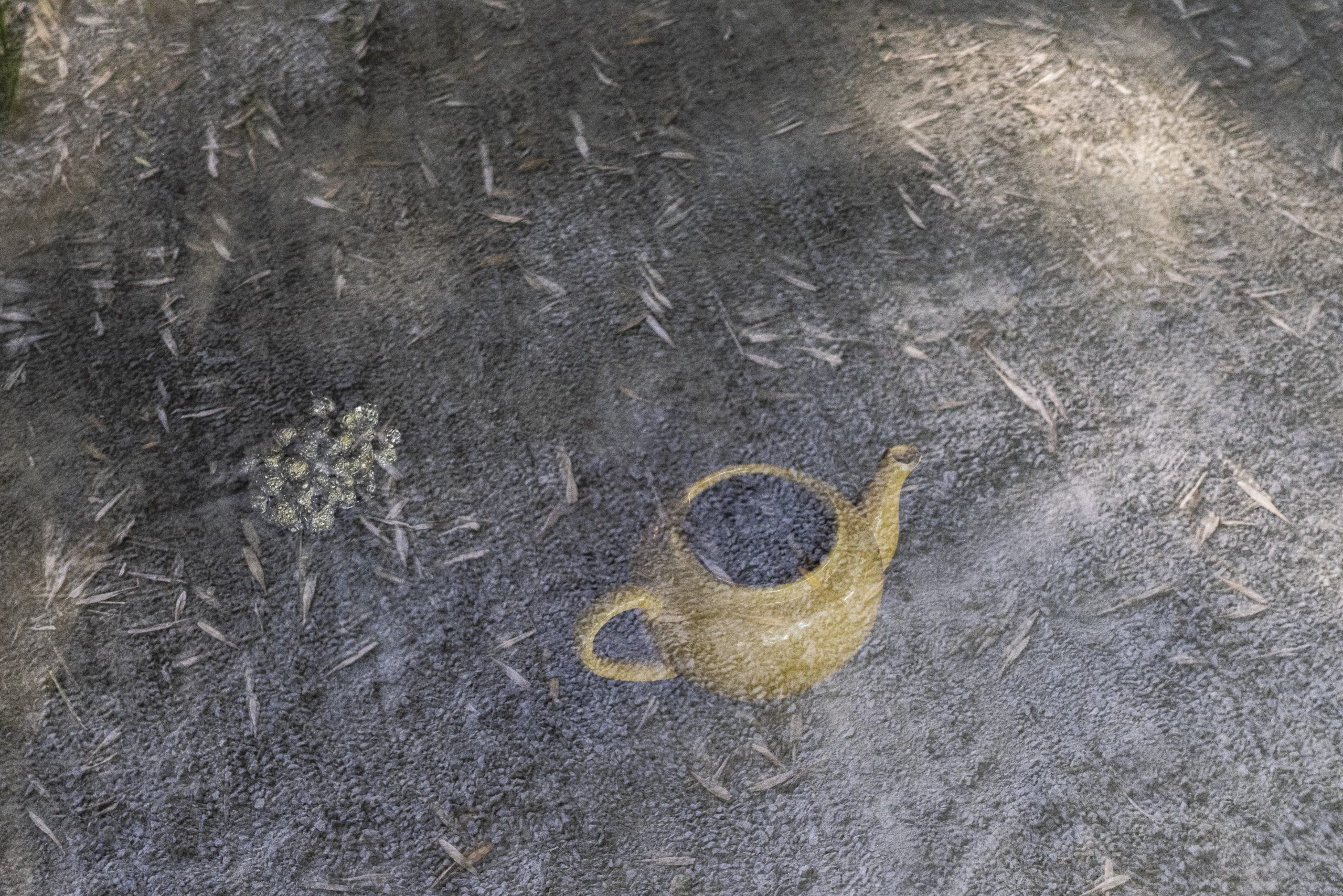 Diane Morin - Est-Nord-Est